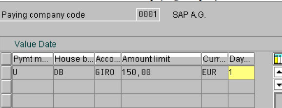 Automatic Payment Program T Code Fbzp In Sap Fico