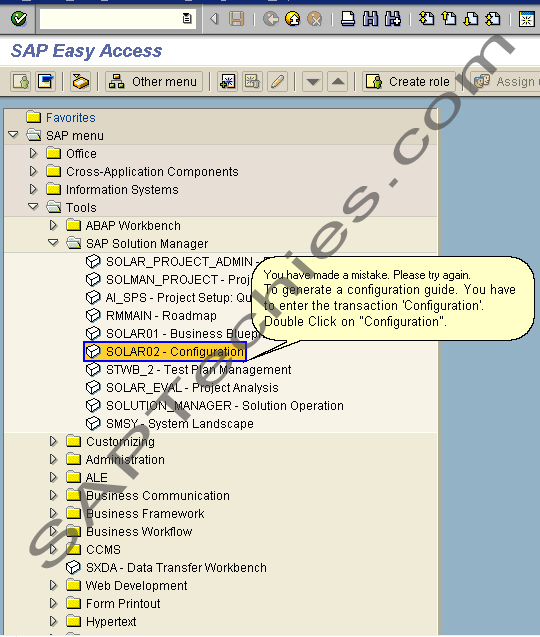 Solution Manager Configuration Guide Generation Sap Easy Access