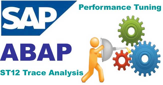 St12 Abap Trace Analysis For Performance Tuning