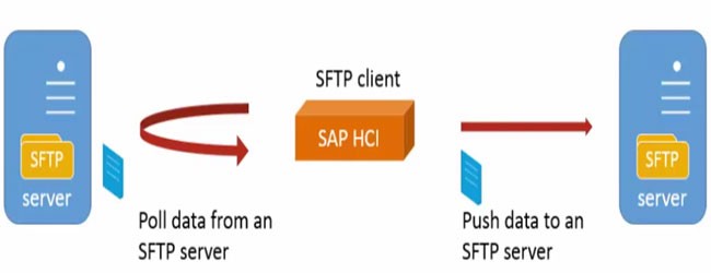 Connecting SFTP Server From SAP HCI HANA Integration 