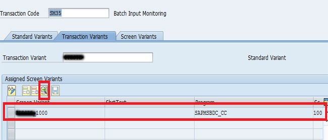 Sapall Authorization User Unable To Edit Display Fields