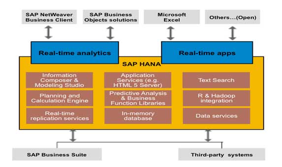 SAP HANA Database: Issue Solved with the Revision 60 SAP HANA Database: Issue Solved with the Revision 60