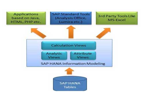 SAP HANA Modeling Scenarios - Types of Attribute and Measure