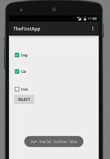 Checkbox Basics With Example